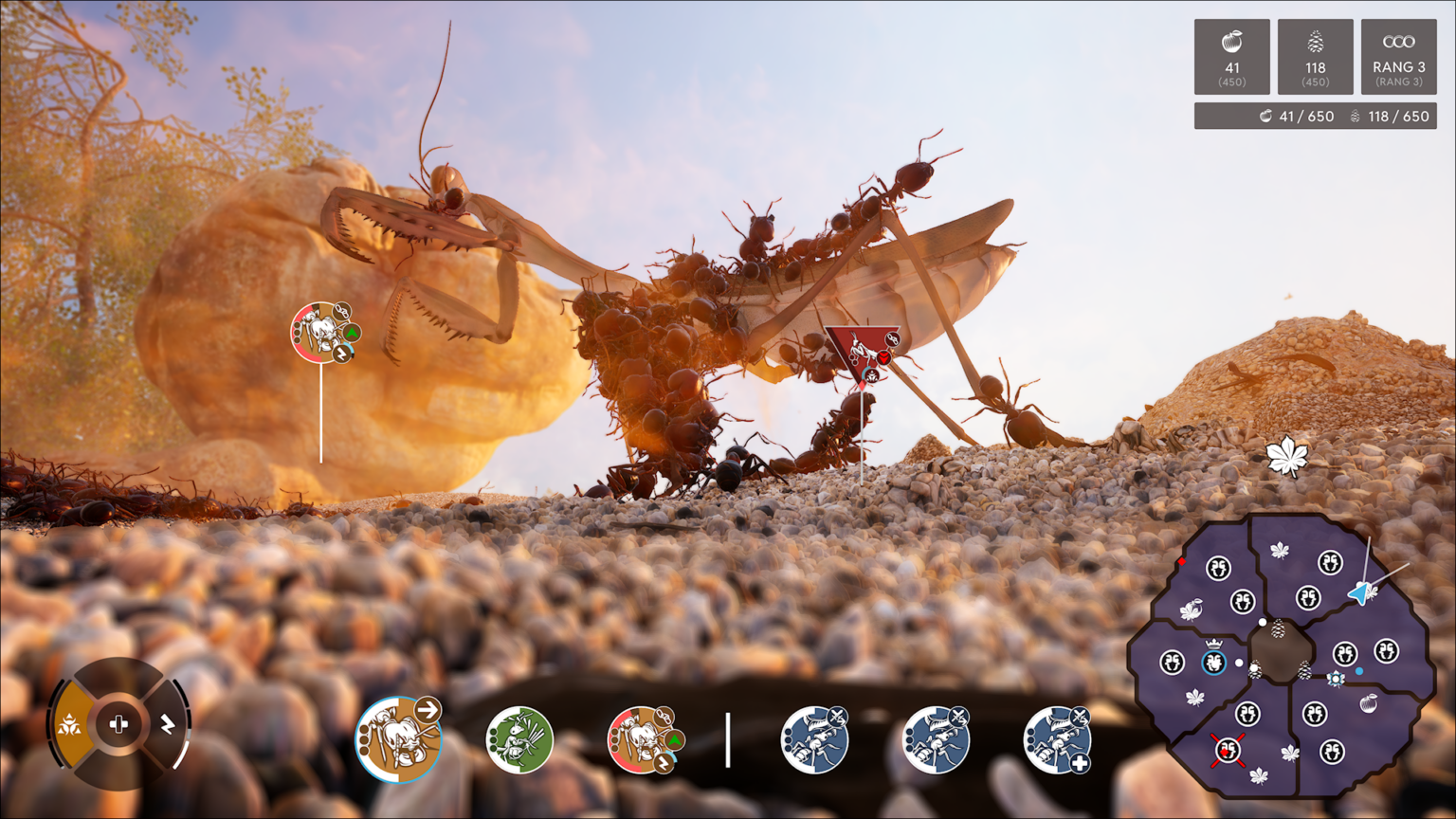 Test - Les fourmis, vivez l’expérience stratégique d’une fourmilière ...